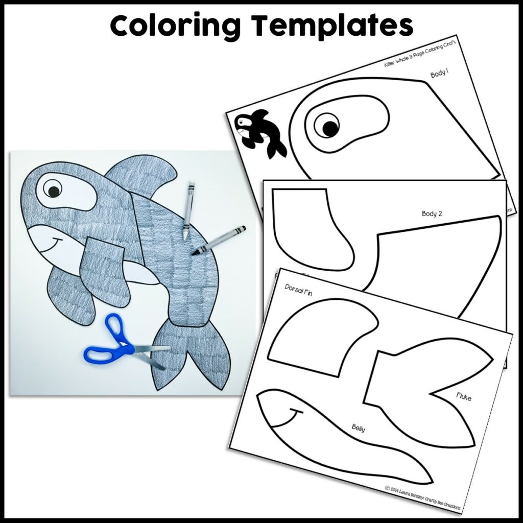 Killer Whale Craft Activity - Crafty Bee Creations
